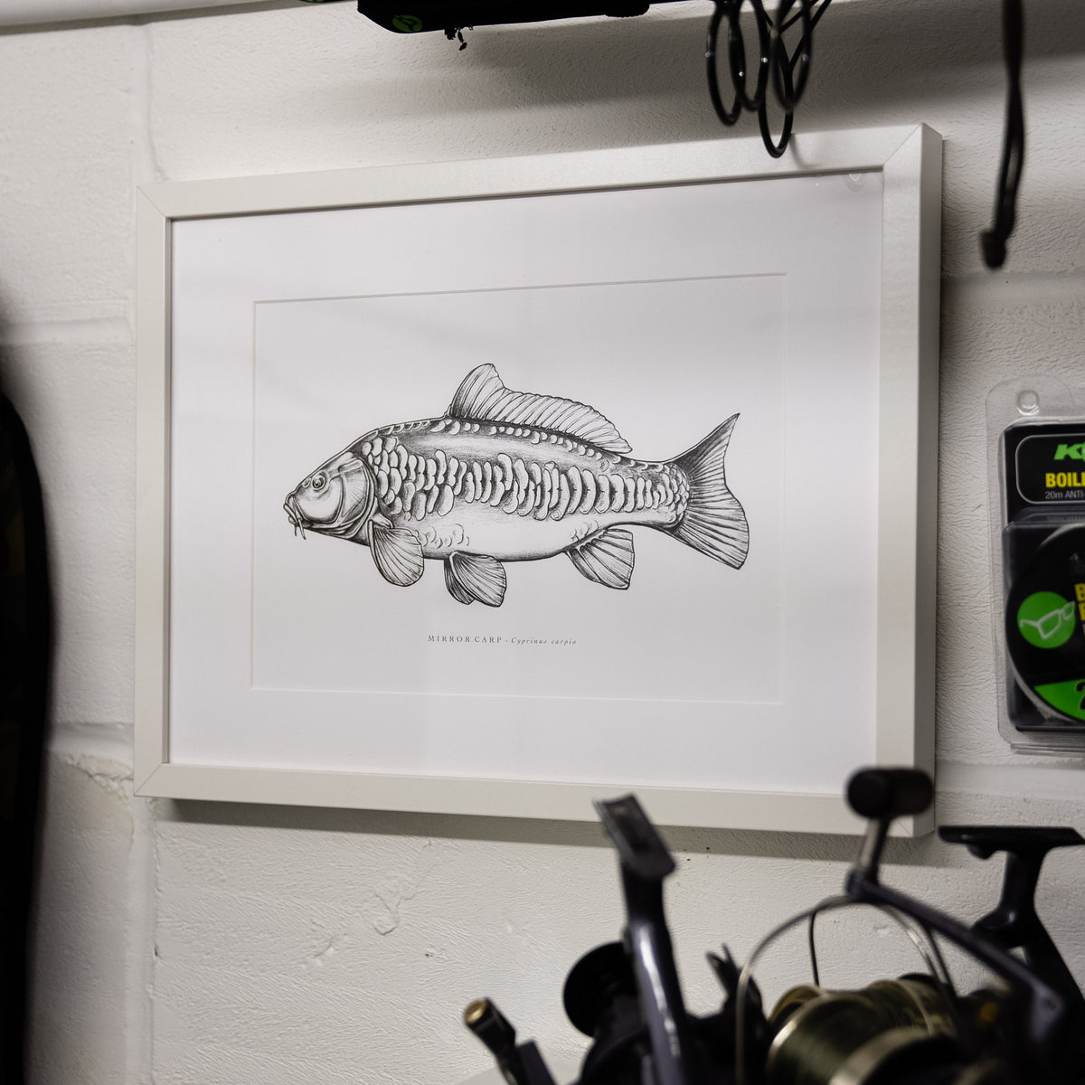 Fish Art Print