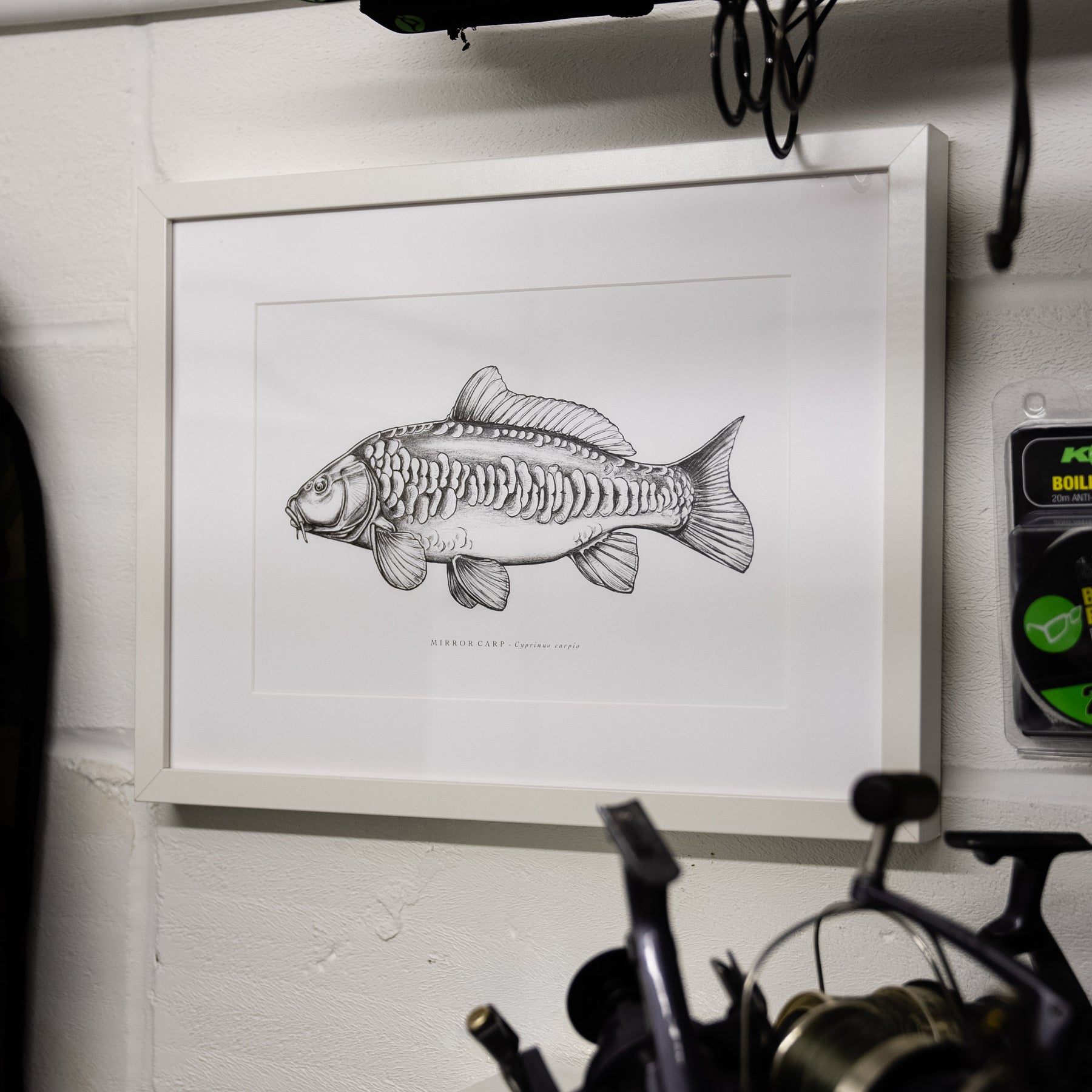 Fish Art Print