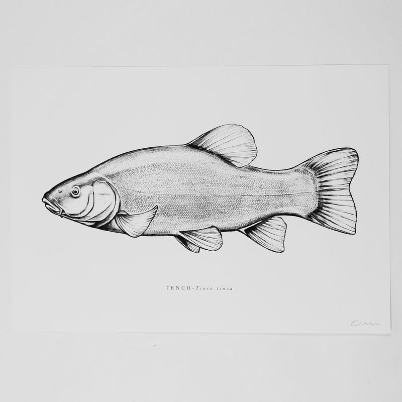 Fish Art Print
