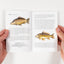 The Simple Fishing Guidebook